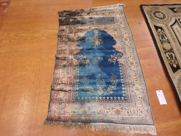 Comprehensive Guide to Mildew Prevention and Treatment